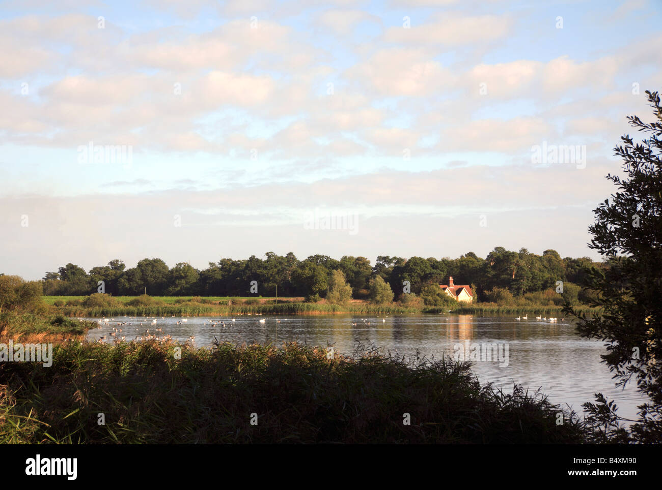 Langley with hardley hi-res stock photography and images - Alamy