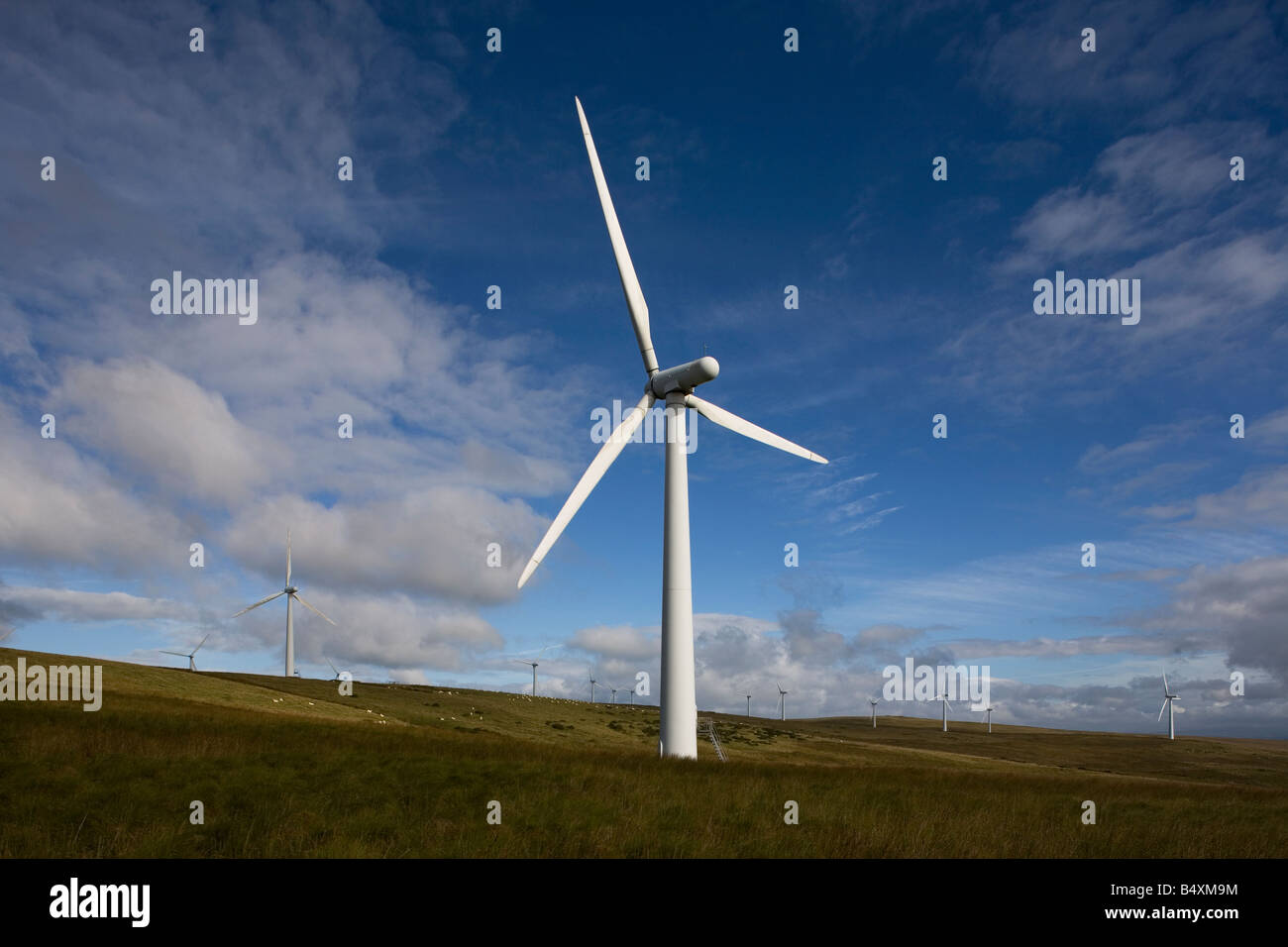 Carno wind farm hi-res stock photography and images - Alamy