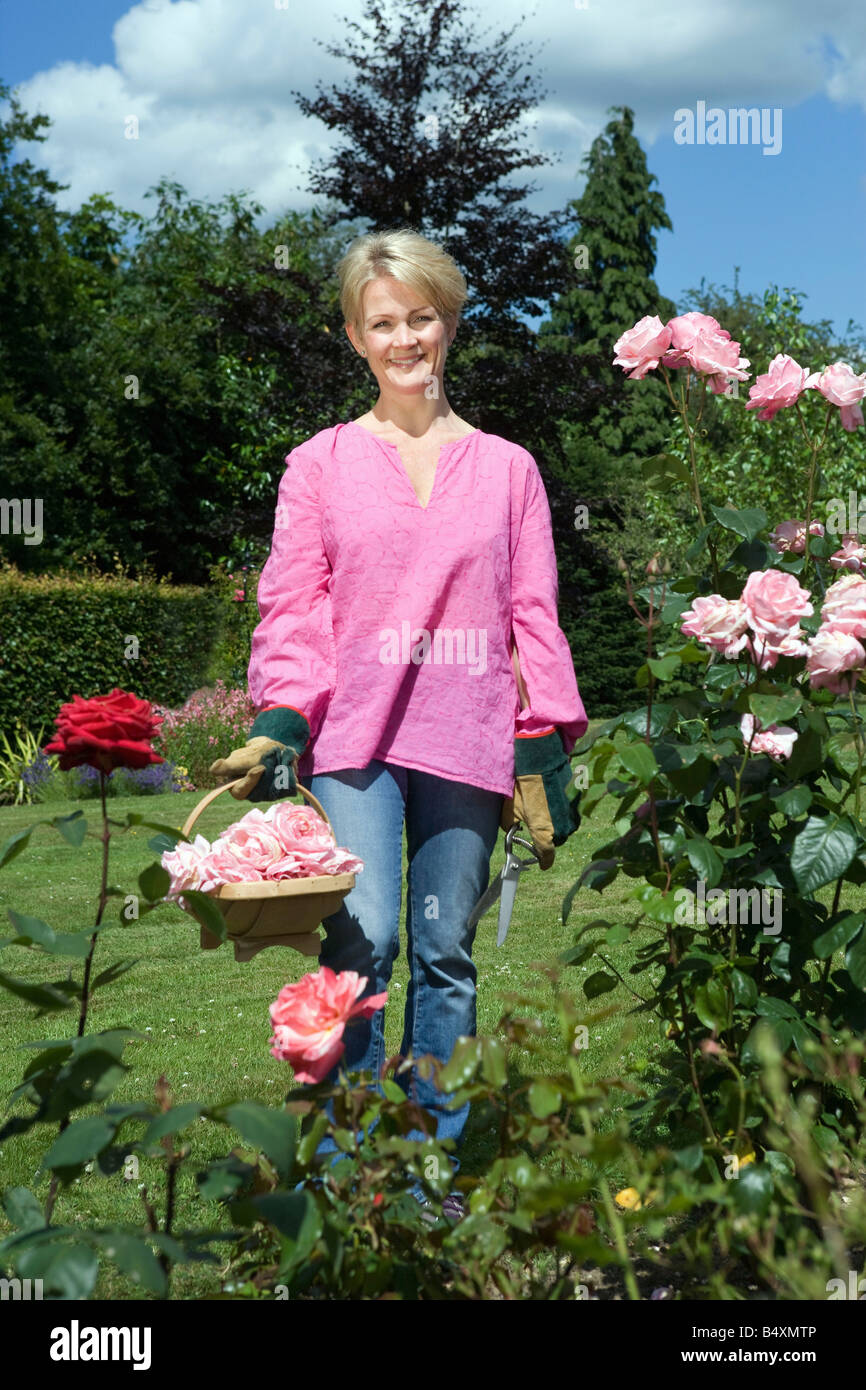 Rose Lady Gardener High Resolution Stock Photography and Images - Alamy