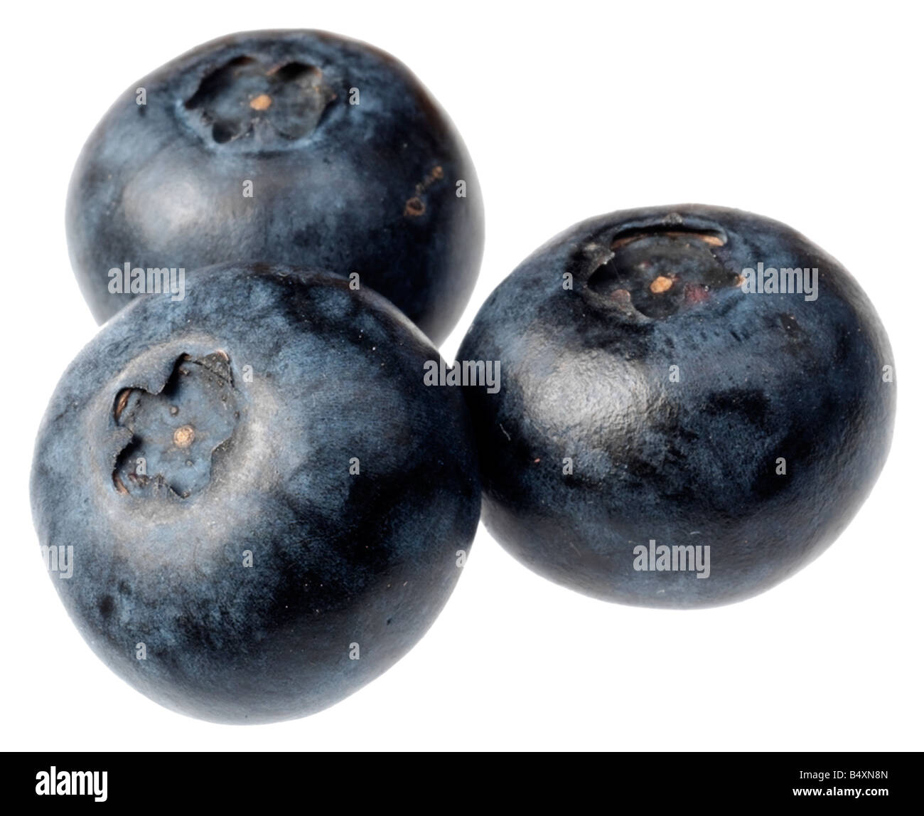 THREE FRESH BLUEBERRIES Stock Photo - Alamy