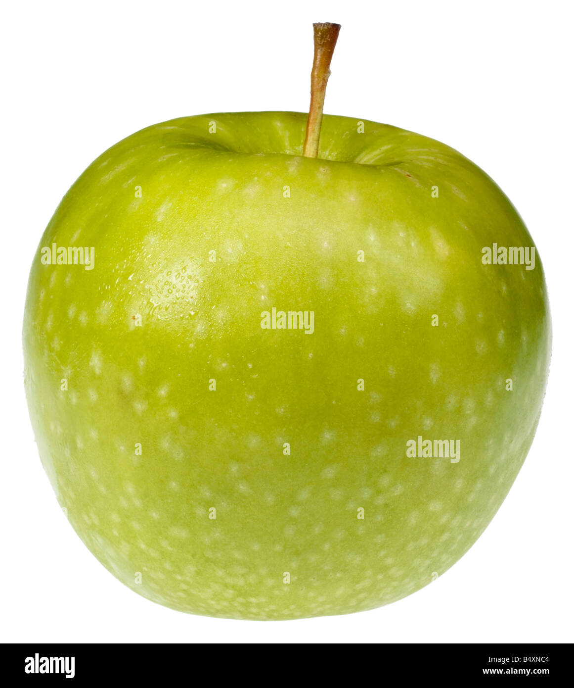 SINGLE GREEN APPLE Stock Photo - Alamy