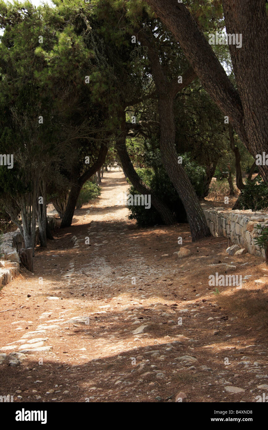 A path leading through the Buskett Gardens, Malta Stock Photo - Alamy