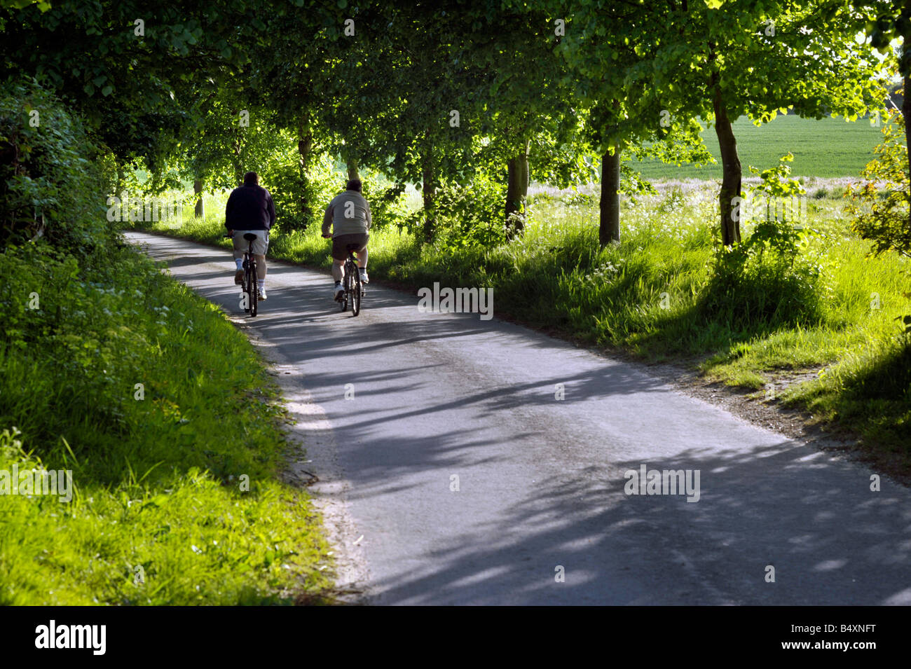 two men cycling on quiet country road Broome Norfolk England Stock ...