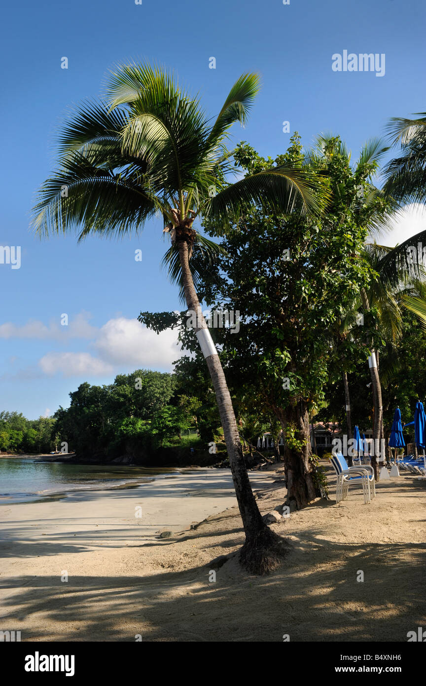 Morgan bay beach resort hi-res stock photography and images - Alamy