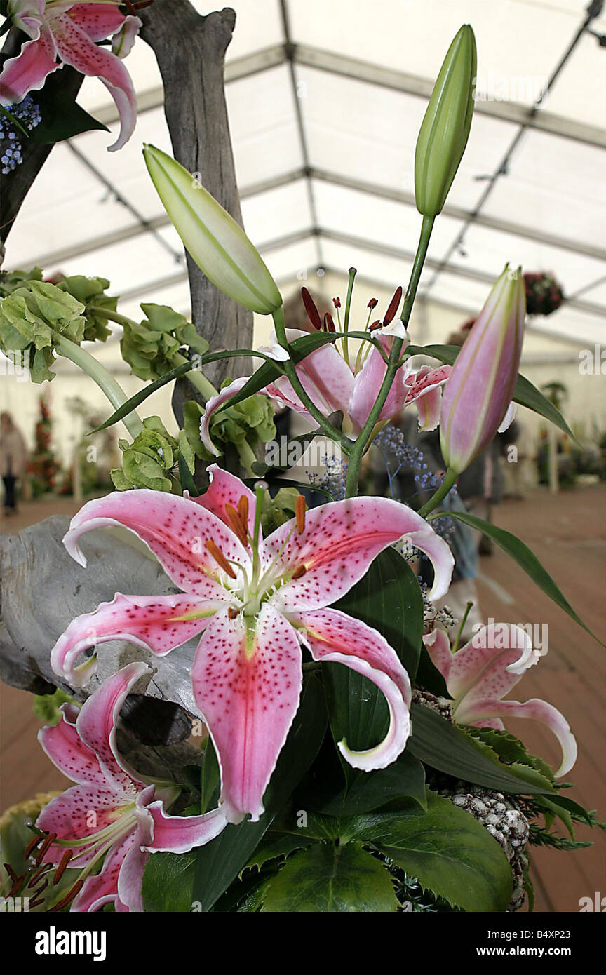 Prize winning display of flowers by N Deacon of Weardale Flower Club at ...