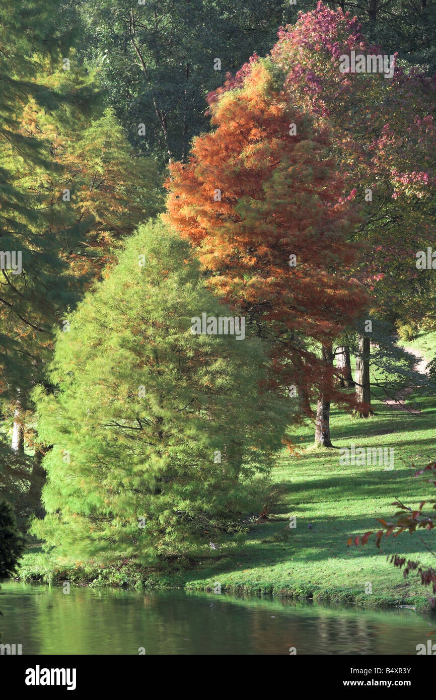 Lakeside trees hi-res stock photography and images - Alamy