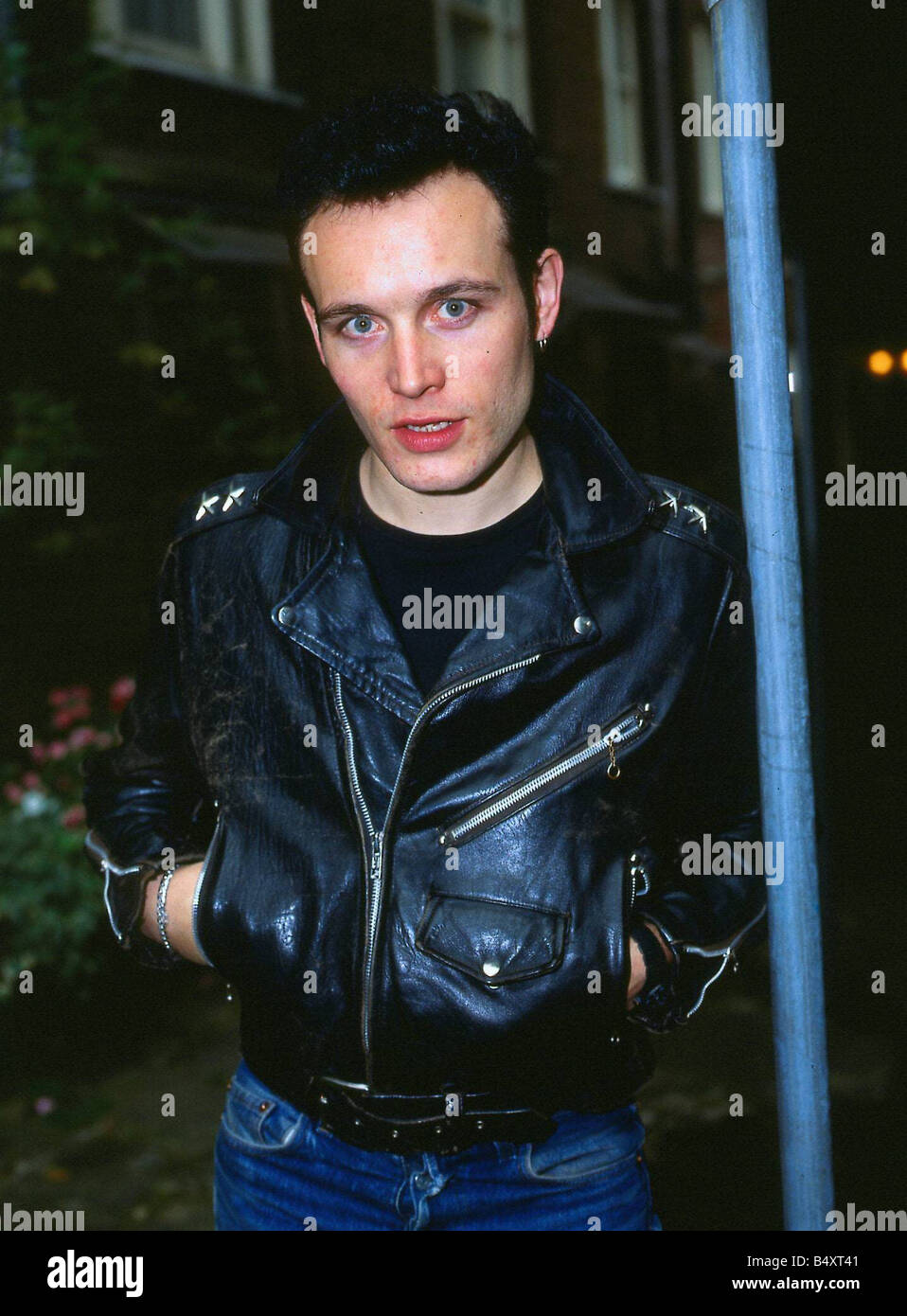 Black Leather Ants High Resolution Stock Photography and Images - Alamy