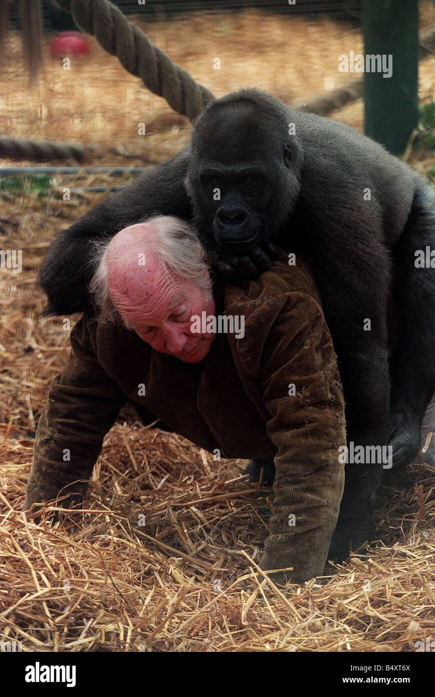 John Aspinall in Gorilla cage of Howletts Zoo June 95 Stock Photo - Alamy