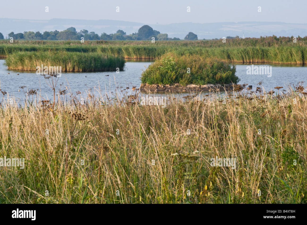 Blacktoft Sands RSPB Nature Reserve Whitgift Goole East Yorkshire ...