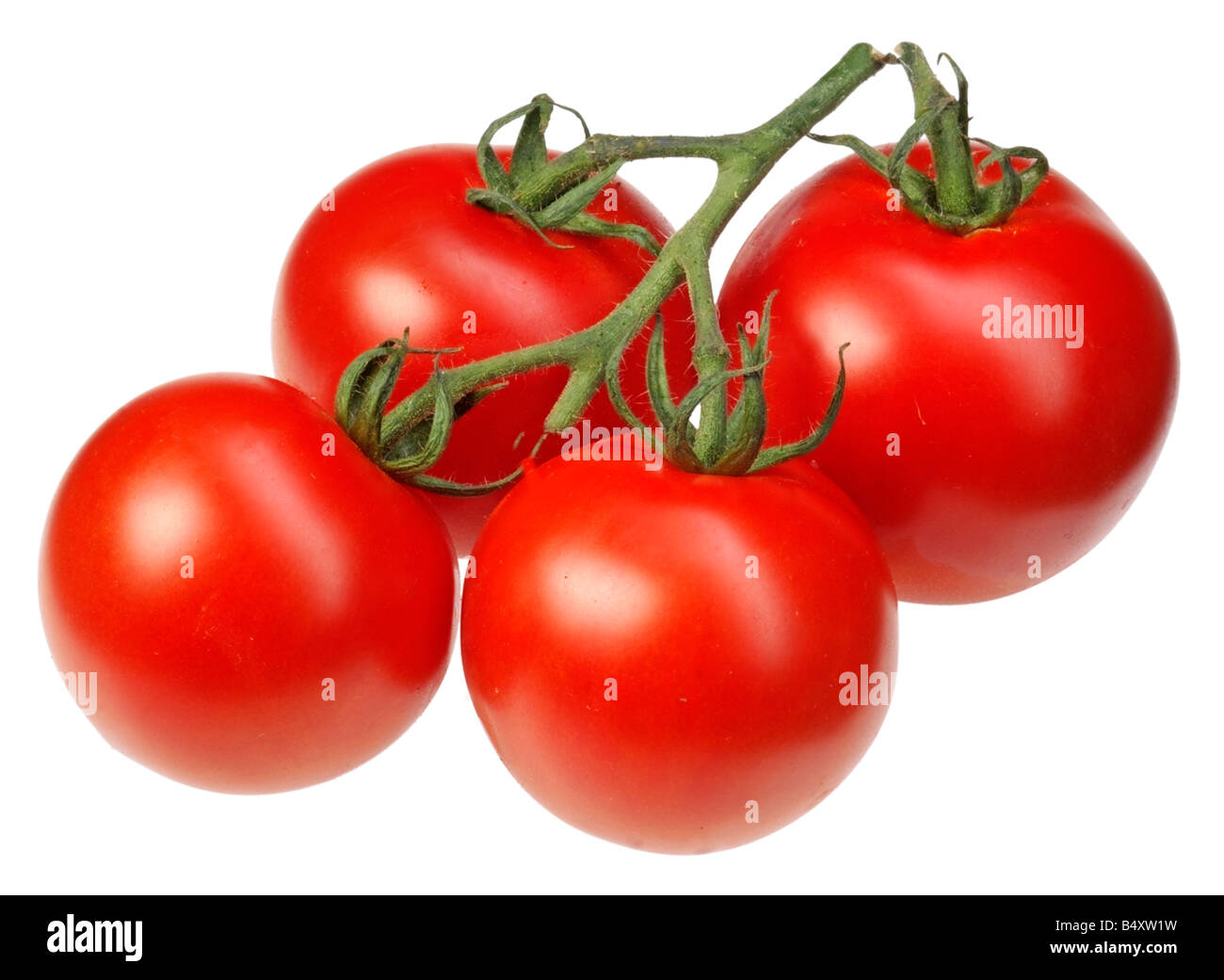 VINE RIPENED TOMATOES CUT OUT Stock Photo - Alamy
