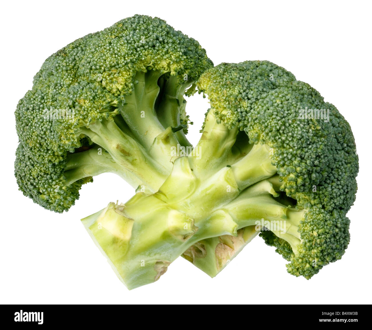 BROCCOLI FLORETS CUT OUT Stock Photo - Alamy
