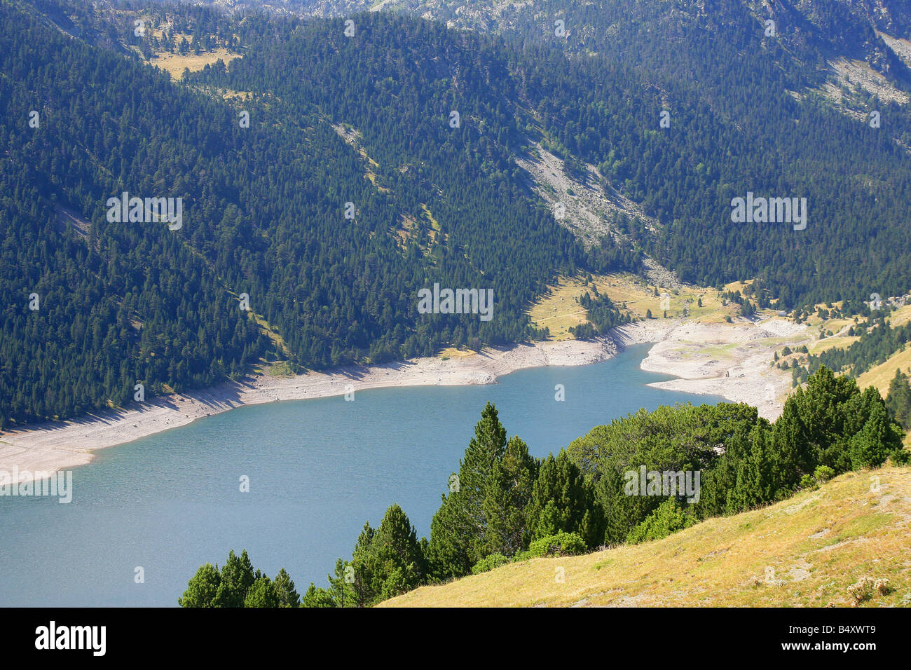 Elevated view of a lake surrounded by lush foliage Stock Photo - Alamy