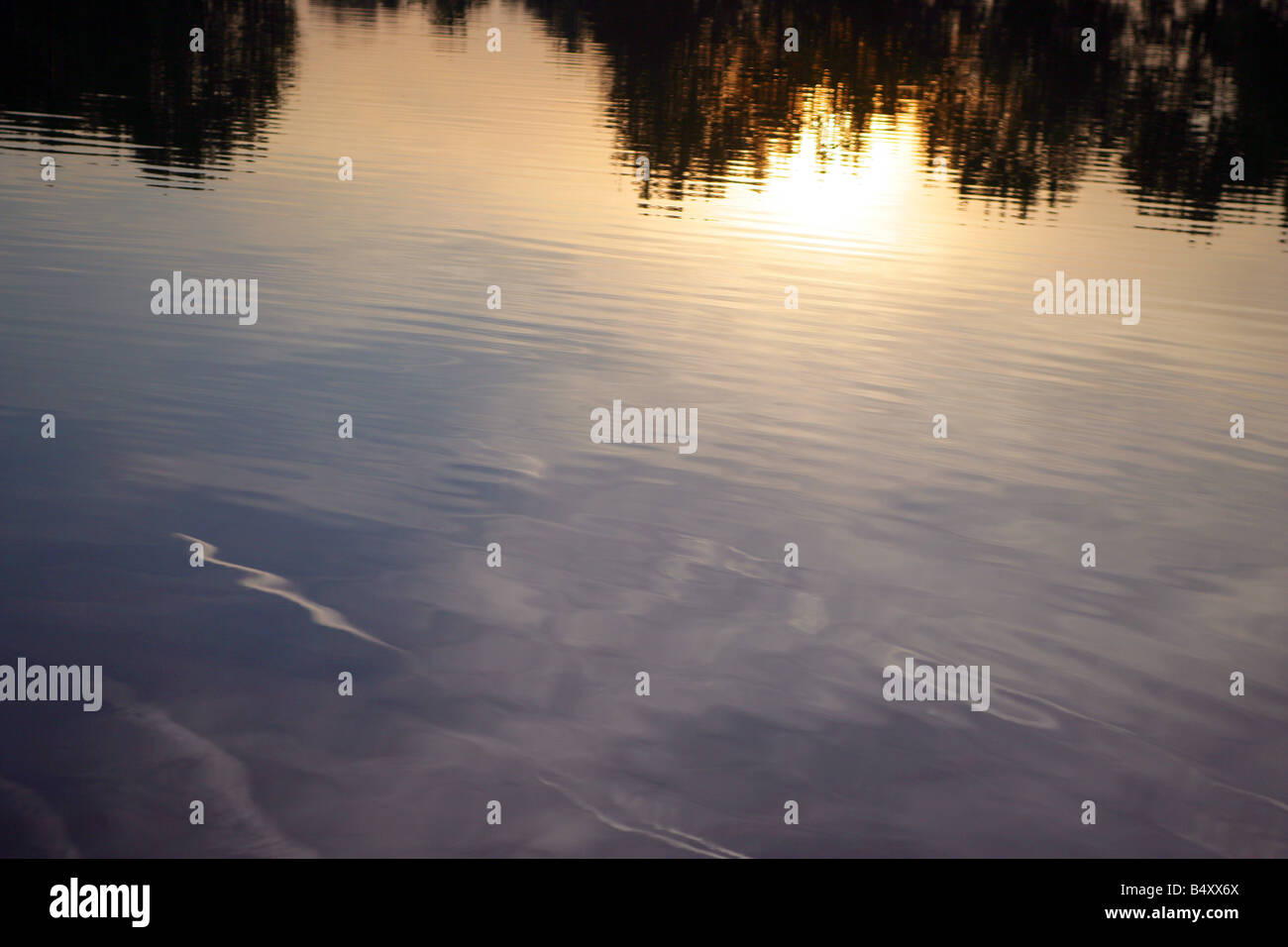 Tree water reflective nature ponds hi-res stock photography and images ...