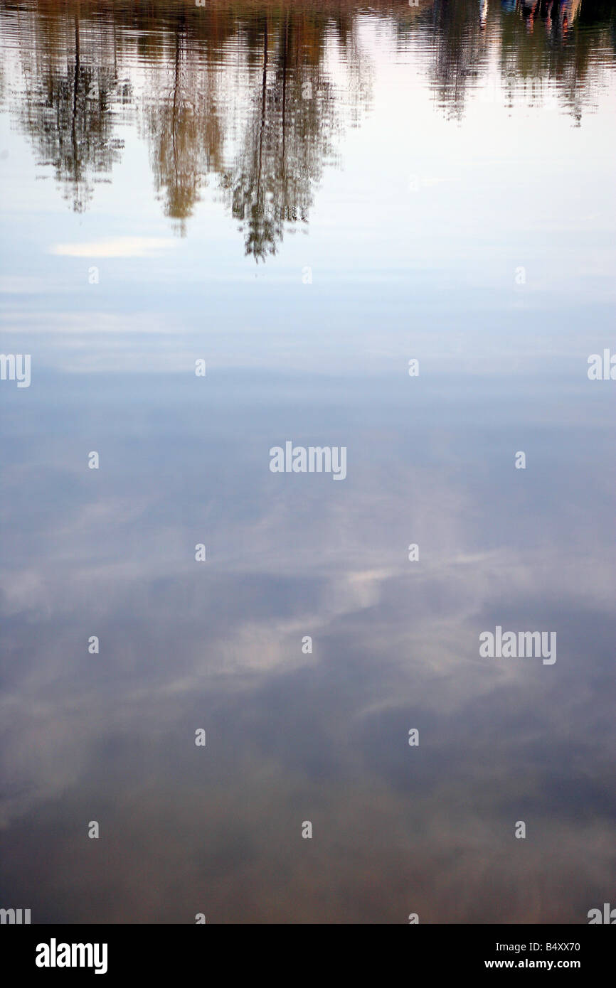 Tree water reflective nature ponds hi-res stock photography and images ...
