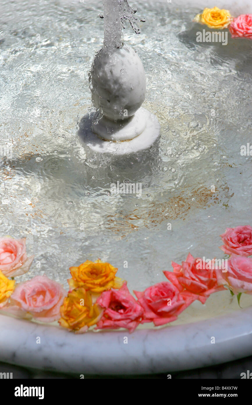 Fountain with flowers, close-up Stock Photo - Alamy