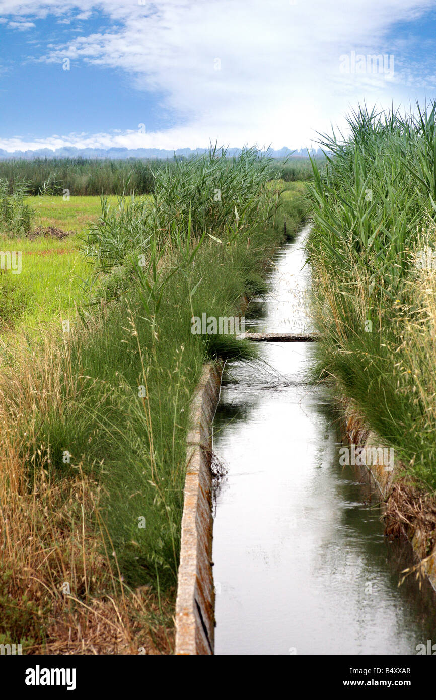 River through green landscape Stock Photo - Alamy