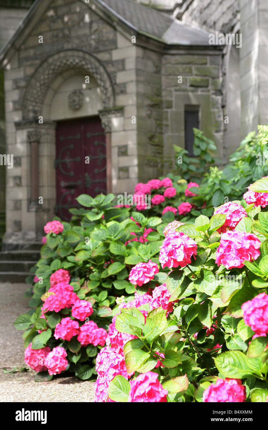Garden with church in the background Stock Photo - Alamy
