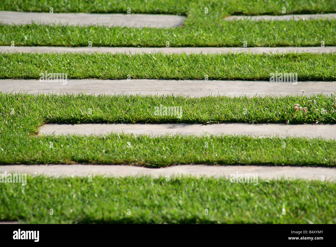 Pathway amid grass Stock Photo - Alamy
