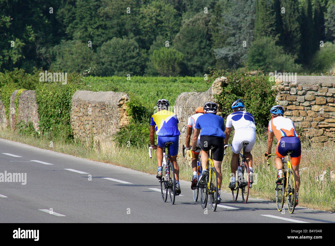 Cyclists racing on road, rear view Stock Photo - Alamy