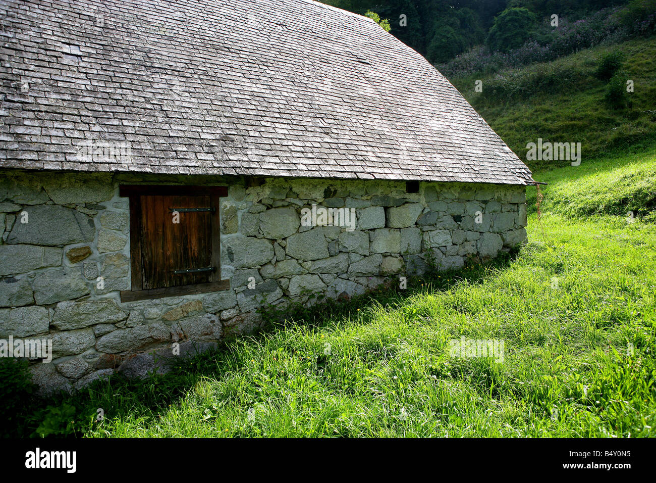 House by grass Stock Photo - Alamy