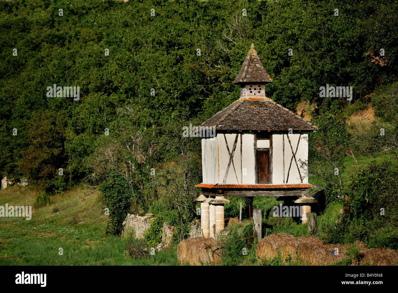 Built structure amidst forest Stock Photo - Alamy