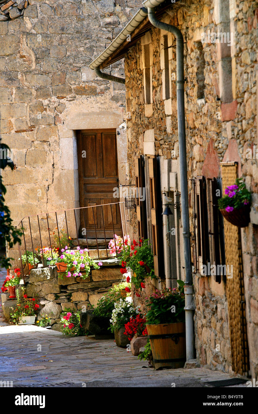 Potted plant in side of wall Stock Photo - Alamy