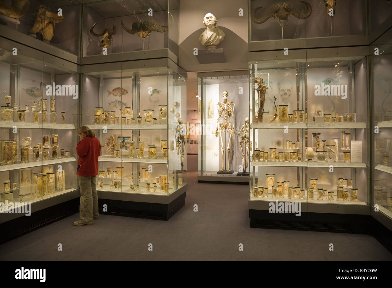 Pathology museum hi-res stock photography and images - Alamy