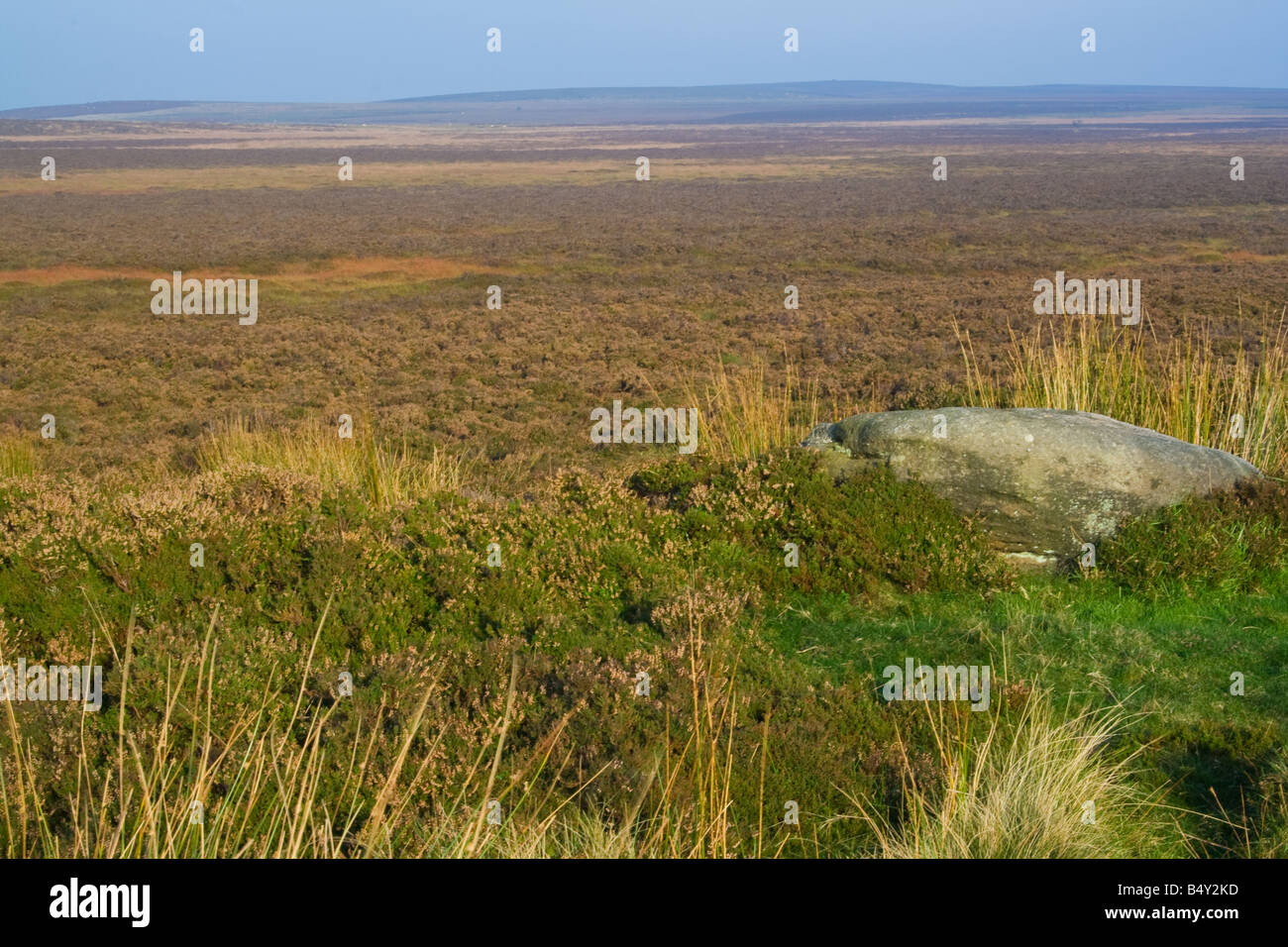 Bog loving hi-res stock photography and images - Alamy