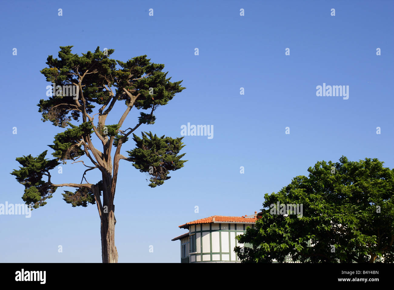 house and trees with blue sky Stock Photo - Alamy