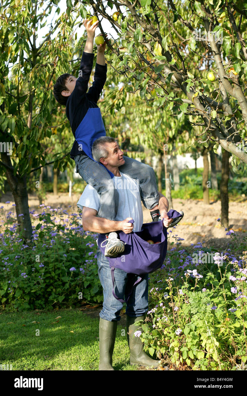 man carrying a child on his shoulders Stock Photo - Alamy