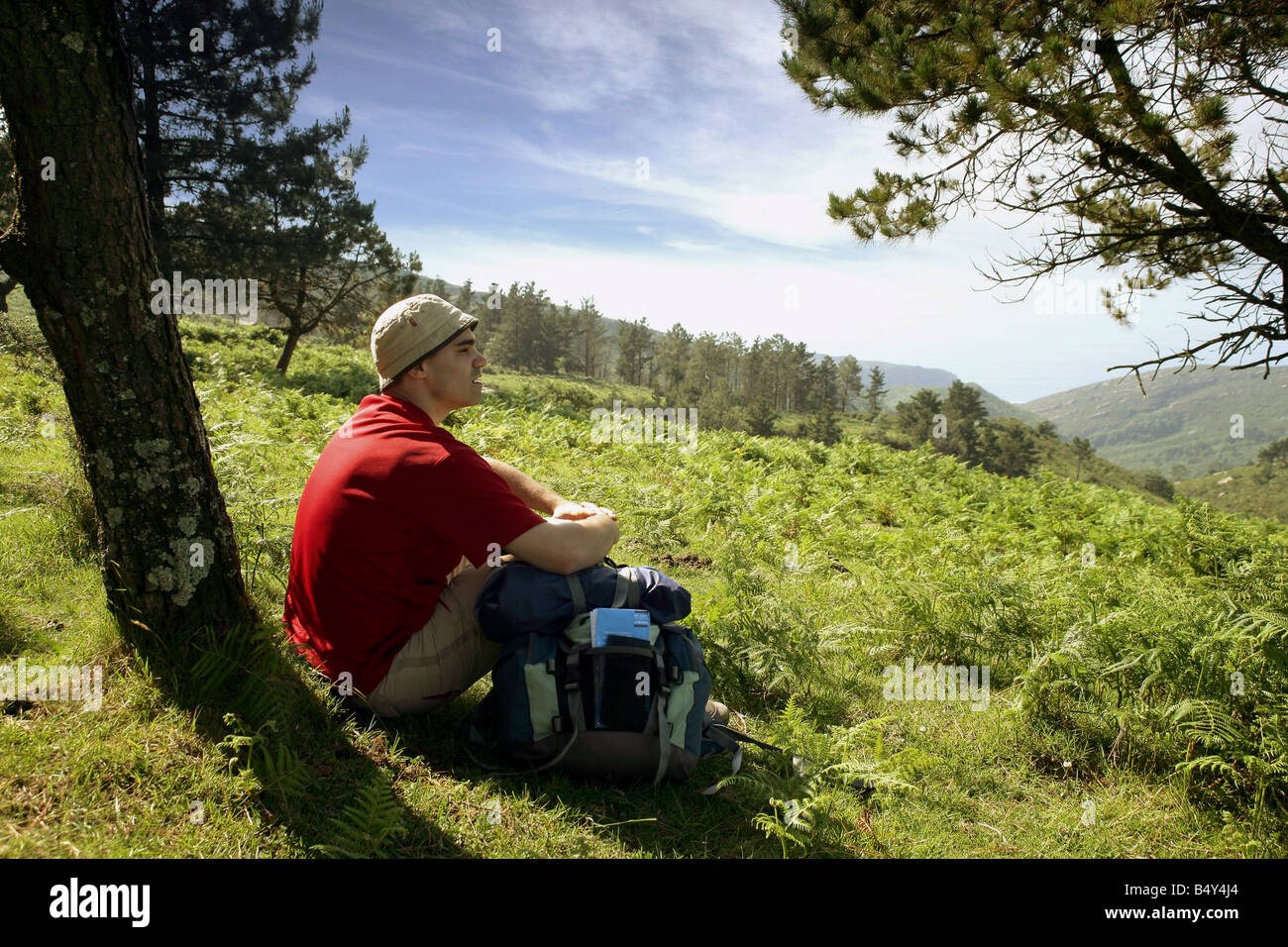 young man sitting in a field by a tree Stock Photo - Alamy