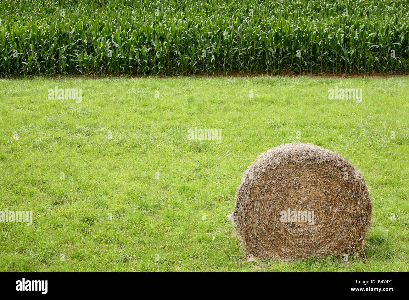 Yard agricole hi-res stock photography and images - Alamy