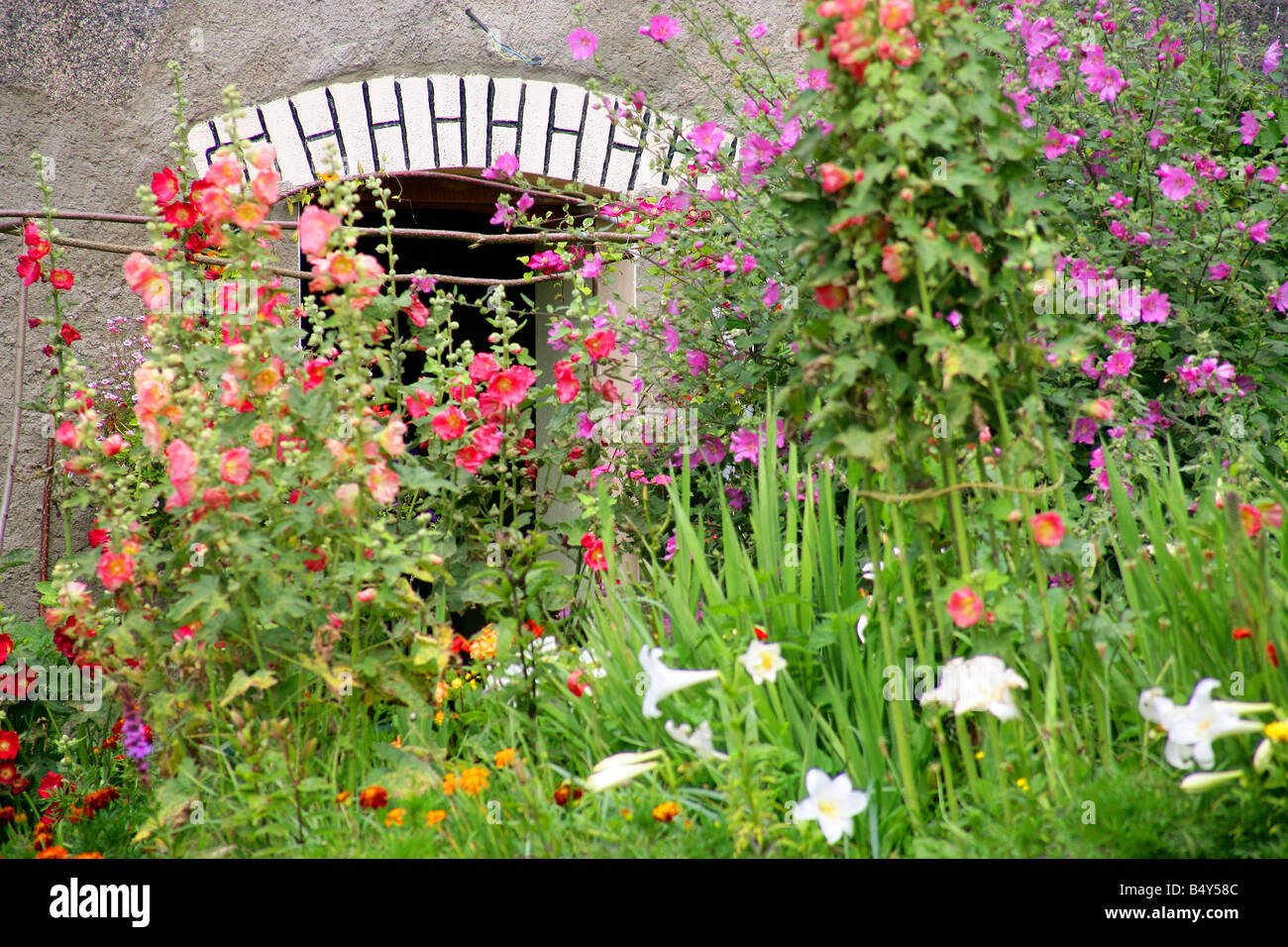 Flowers by structure Stock Photo - Alamy