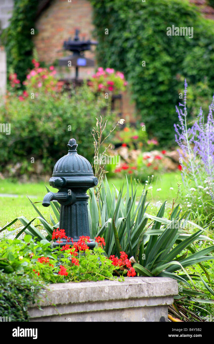 Fire hydrant amid plants Stock Photo - Alamy