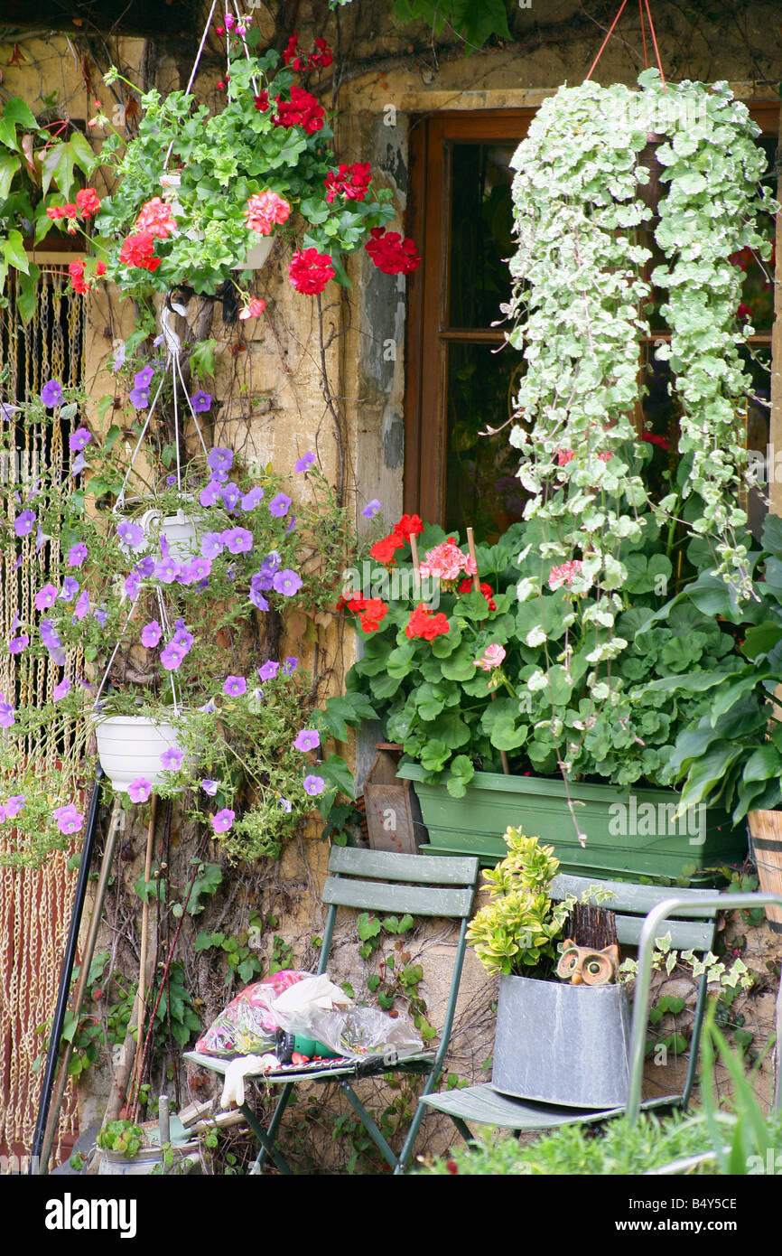 Potted plants and chairs by window Stock Photo - Alamy
