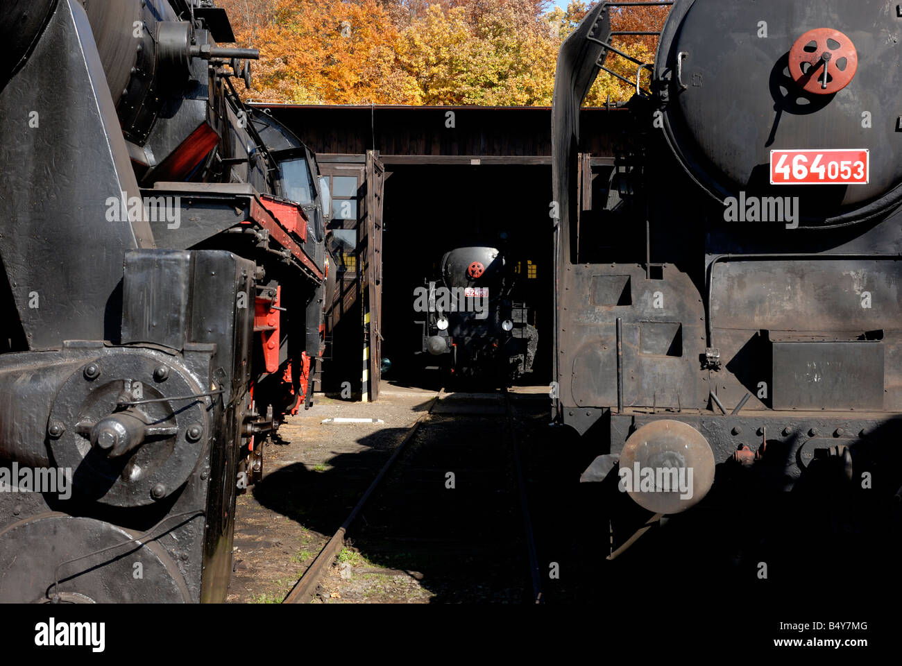 Steam Locomotive tank engine railway Stock Photo - Alamy