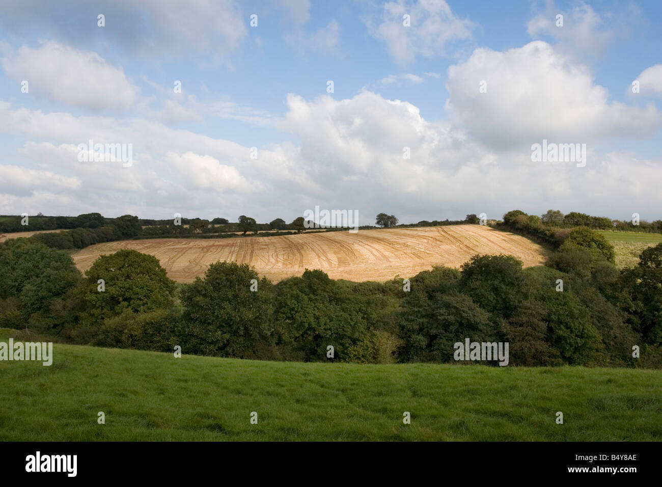 Devon harvest hi-res stock photography and images - Alamy