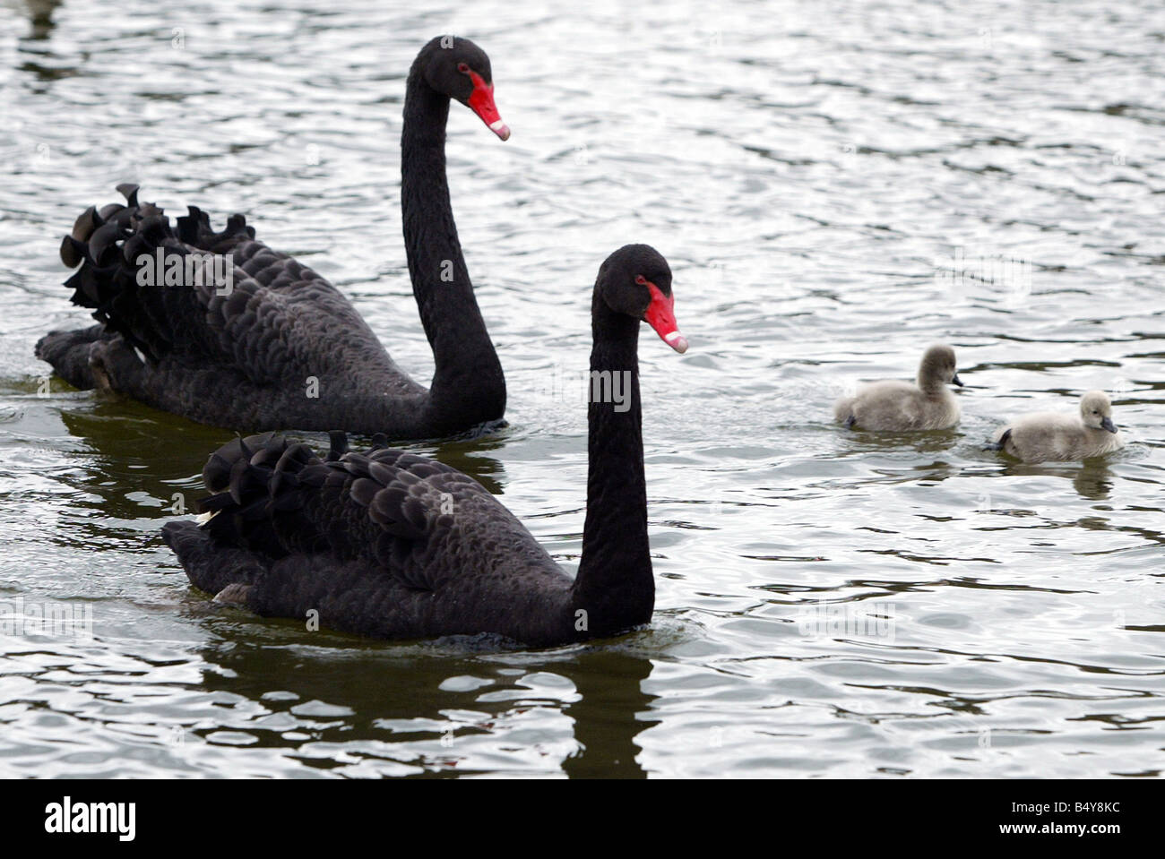 Sandall park hi-res stock photography and images - Alamy