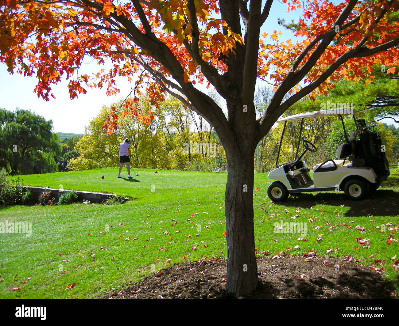 Woman playing golf in autumn Stock Photo - Alamy