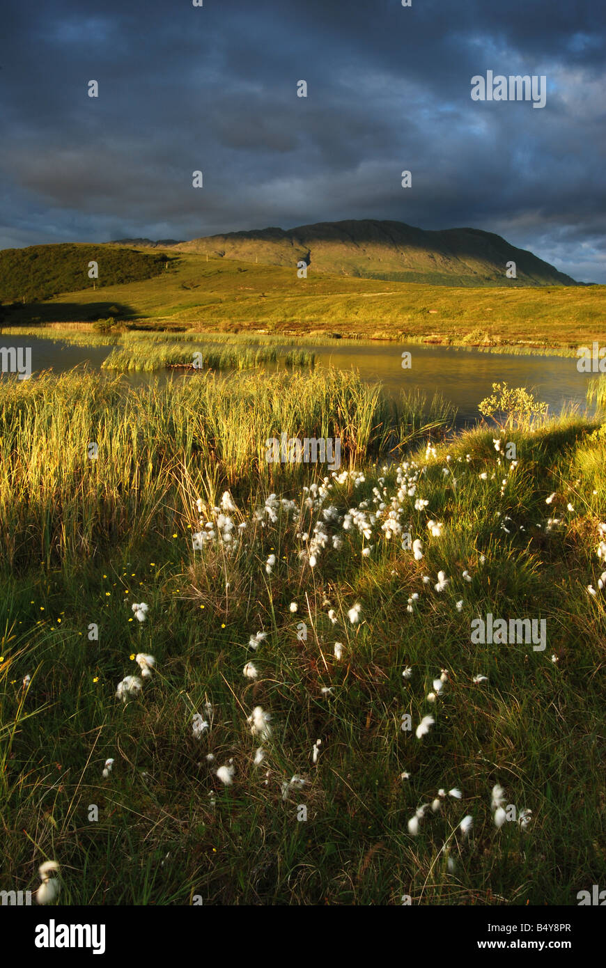 Cuil bay duror appin argyll hi-res stock photography and images - Alamy