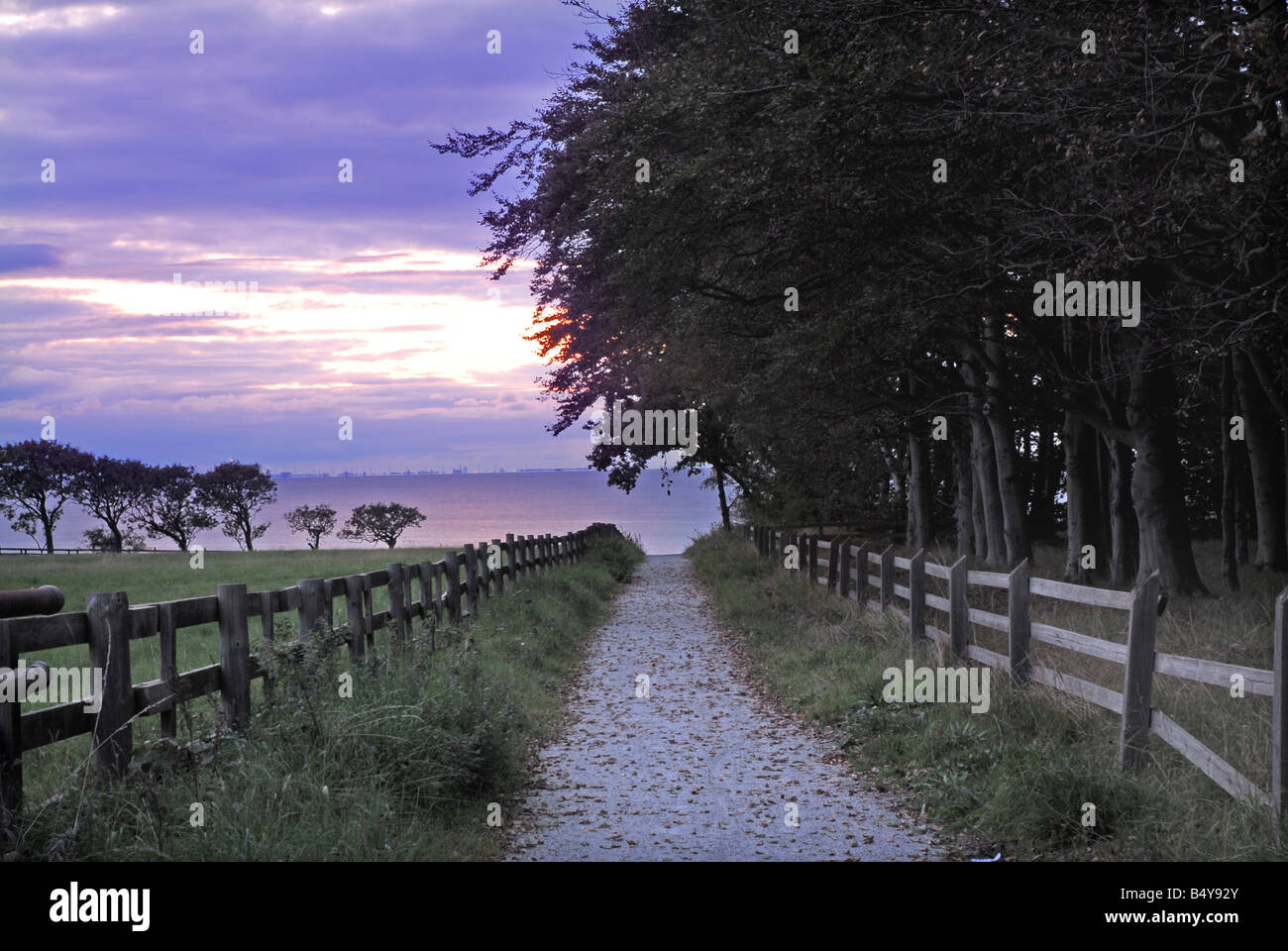 Way leading down to the sea Stock Photo - Alamy