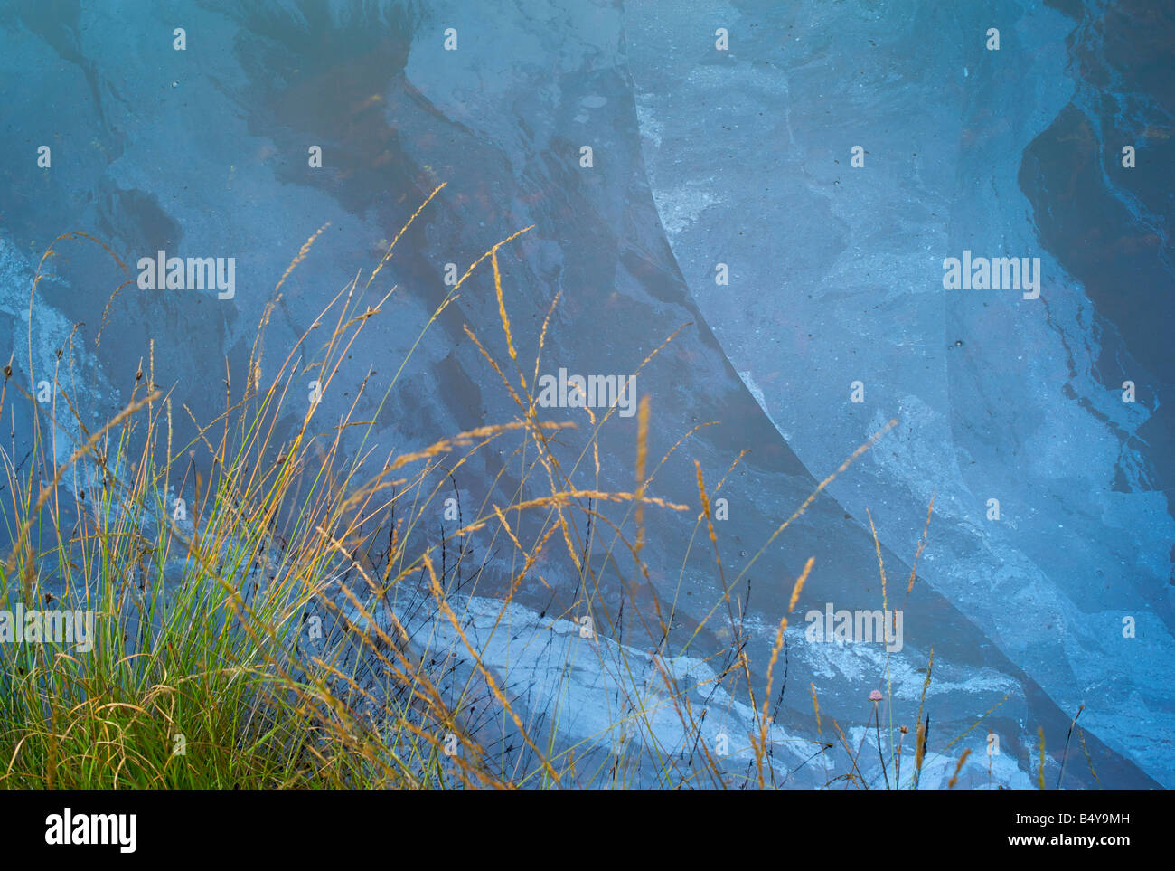 Oil patterns on water in a bog Stock Photo - Alamy