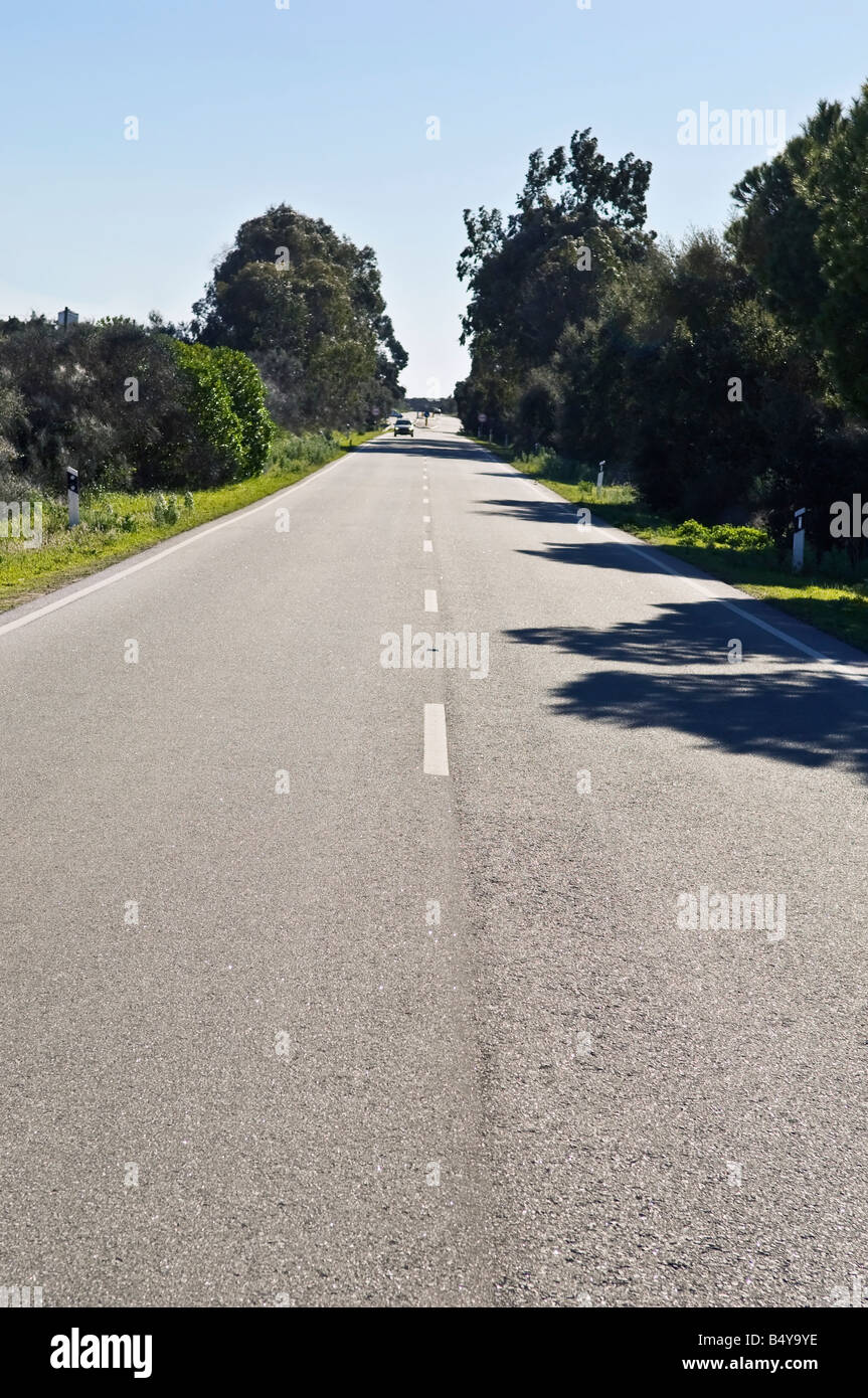 Road side bushes hi-res stock photography and images - Alamy