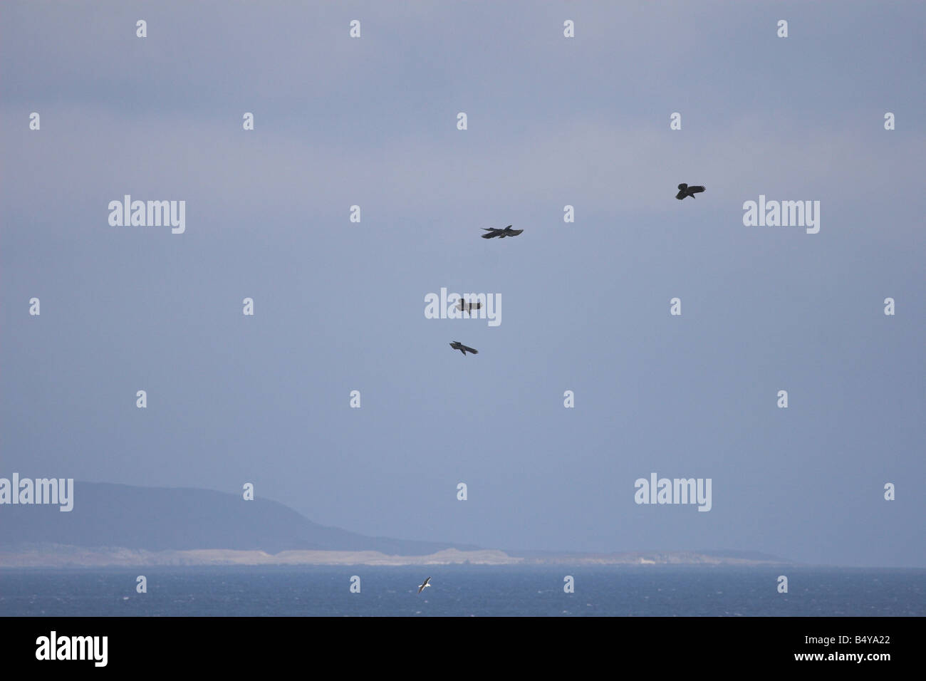 Ardnave point islay hi-res stock photography and images - Alamy