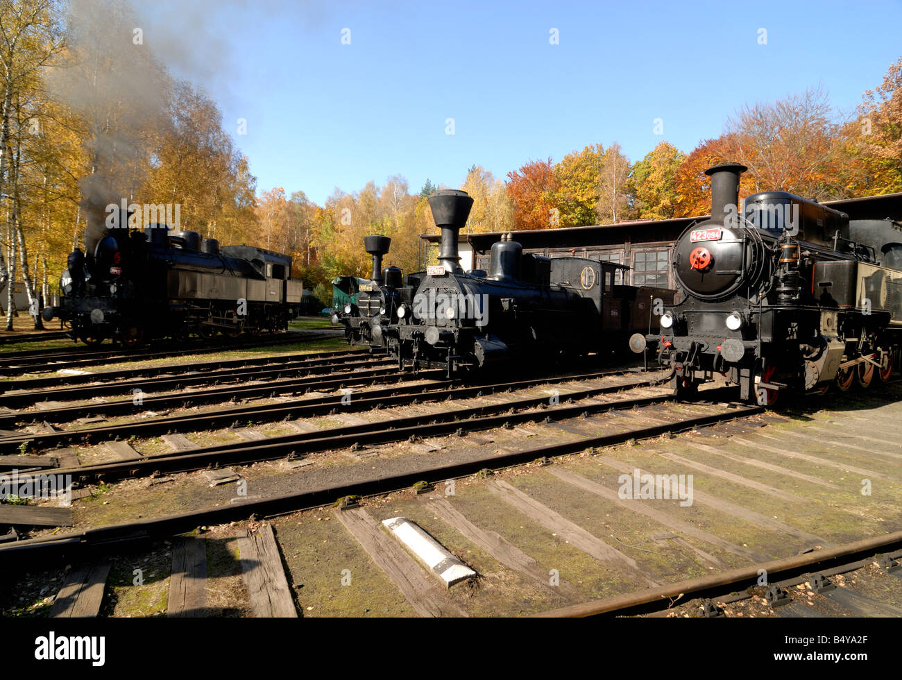Steam Locomotive tank engine railway Stock Photo - Alamy