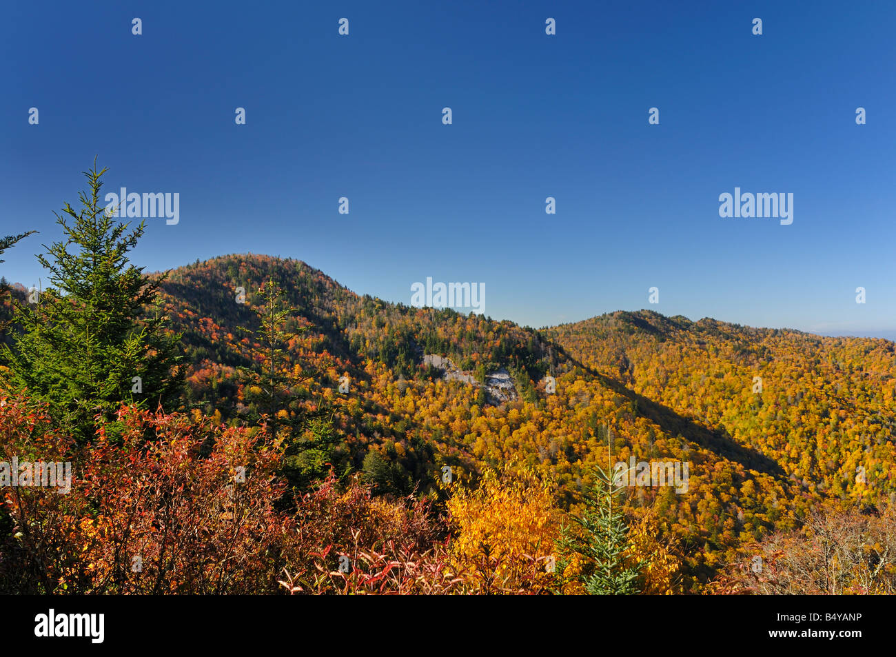 Appalachian waterrock knob hi-res stock photography and images - Alamy
