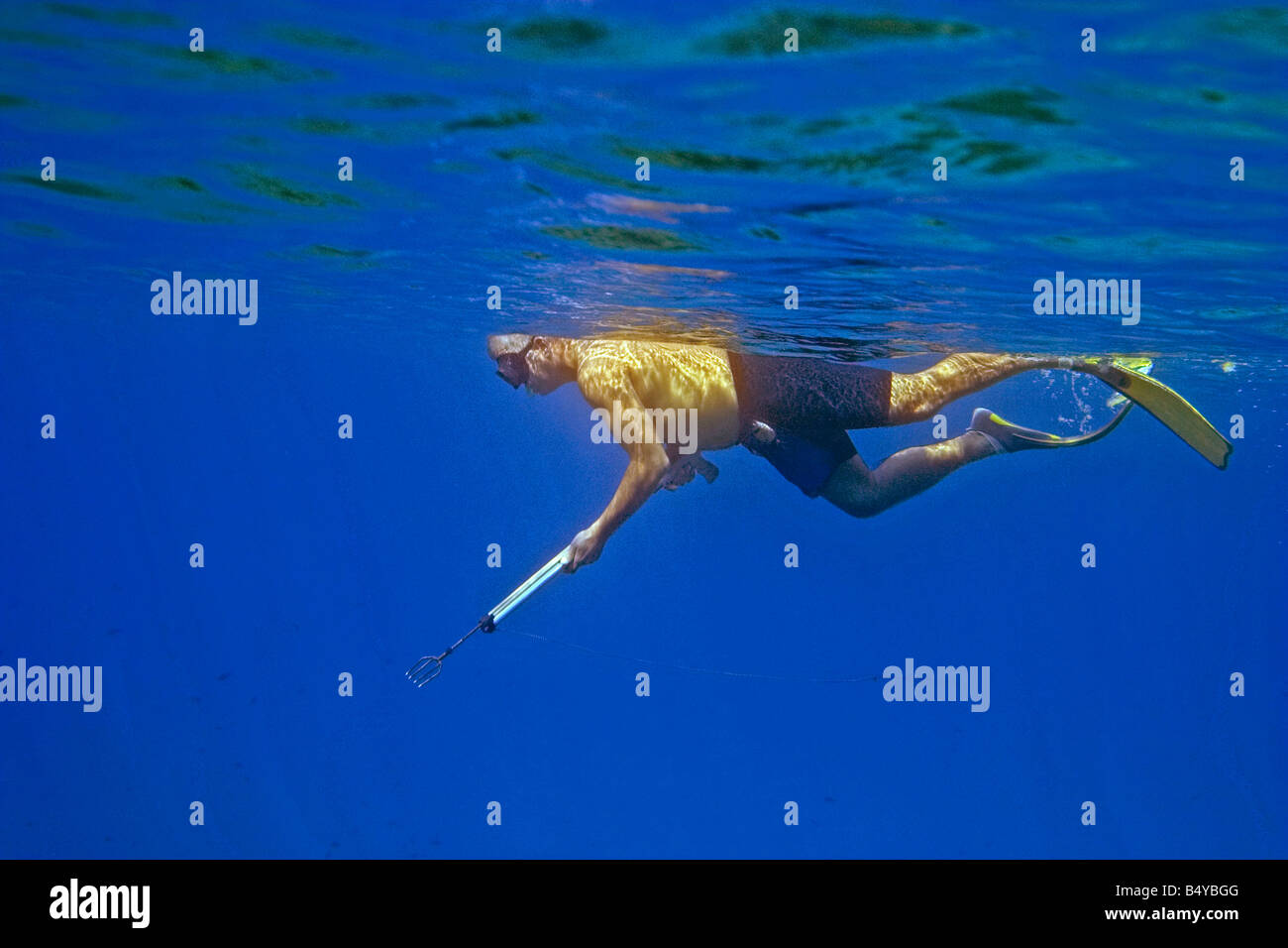 spearfisher fishing at shallow waters at Halkidiki,Aegean sea Stock ...