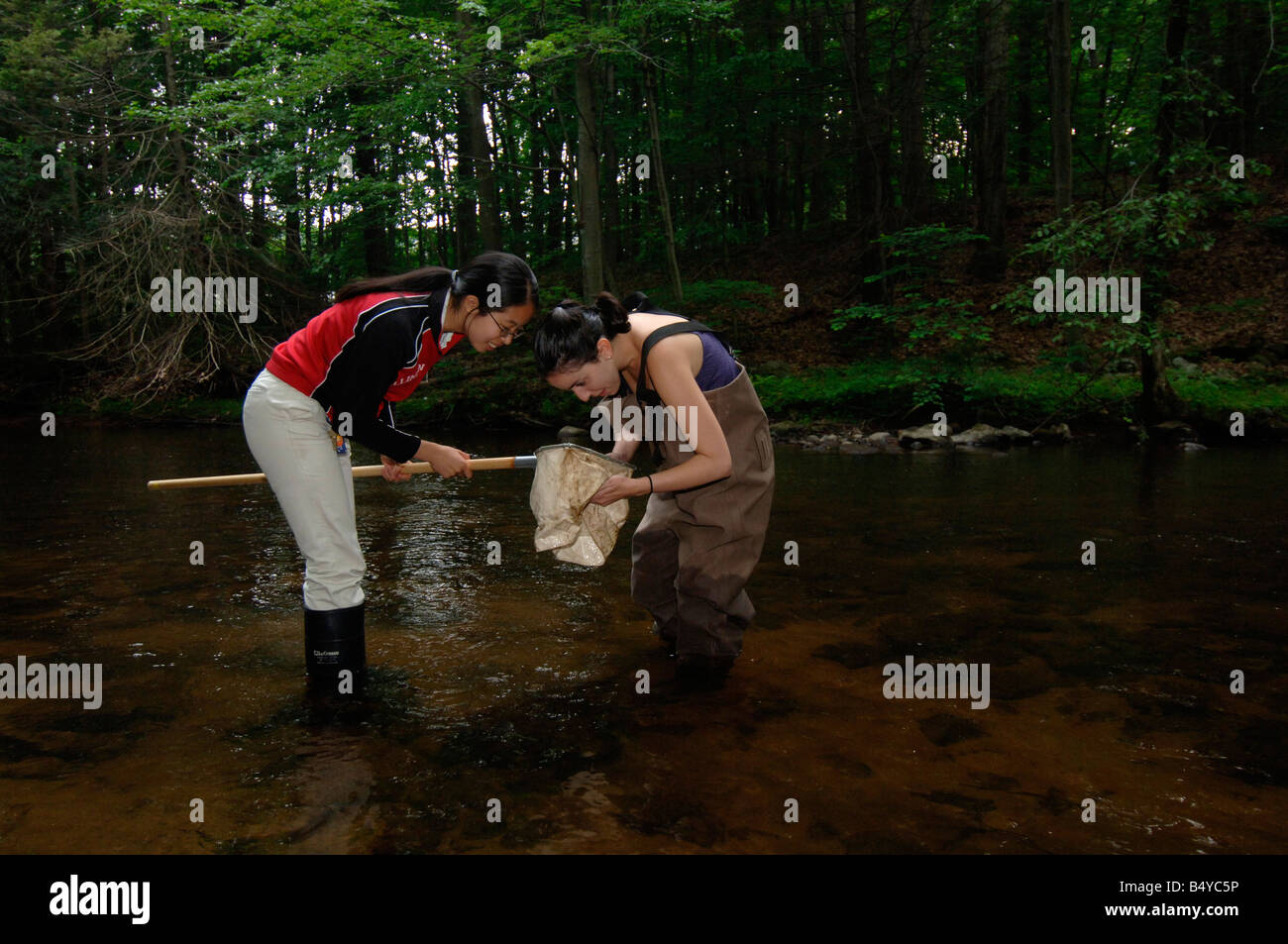 Stream Lab in Yale Summer School Biology class doing stream ...