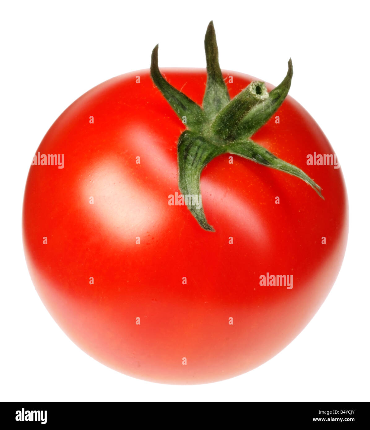 SINGLE TOMATO CUT OUT Stock Photo - Alamy