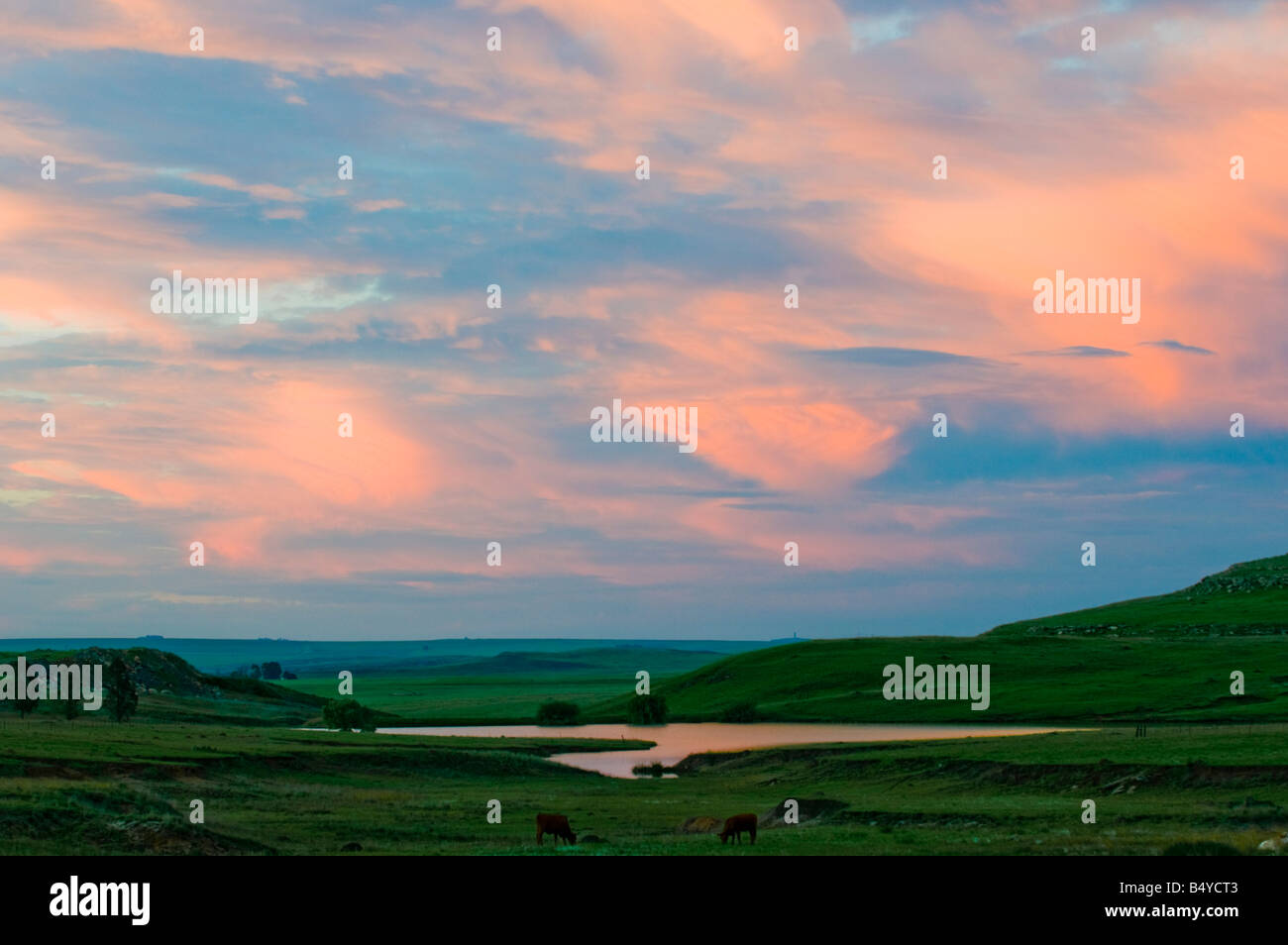 Morning light, landscape, Free State, South Africa Stock Photo - Alamy